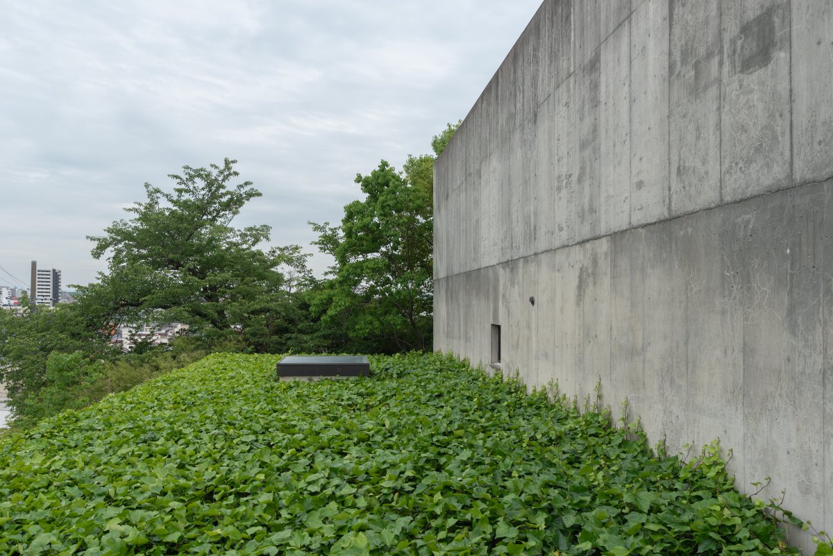 YinjiSpace - Tomoaki Uno Architects x Miyukiyama House
